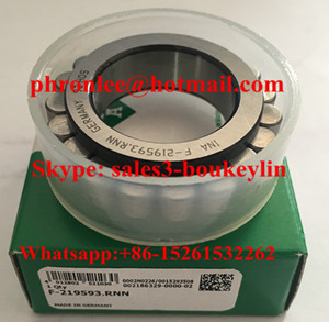 F-217843.01 Cylindrical Roller Bearing, F-217843.01 bearing 10-100x10 ...