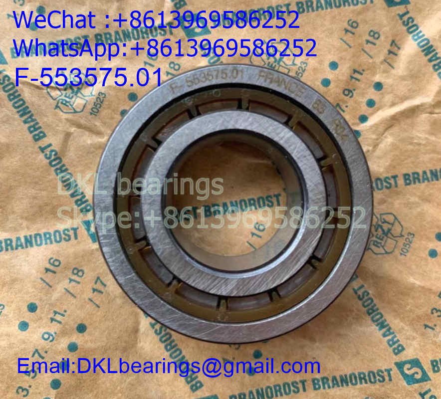 F-553575.01.NUP Germany Cylindrical Roller Bearing (High Quality) Size ...