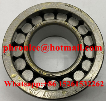 PL25-7 Cylindrical Roller Bearing 25x62x18mm, PL25-7 bearing 25x62x18 ...