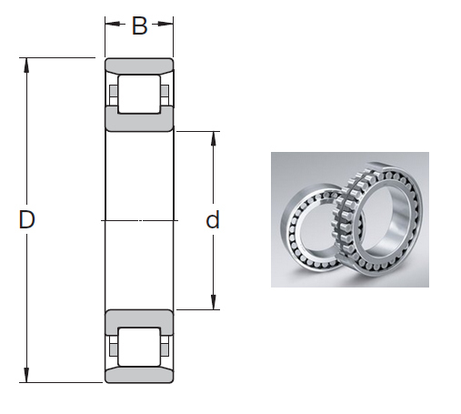 N 307 ECP Cylindrical Roller Bearings 35*80*21mm, N 307 ECP bearing ...