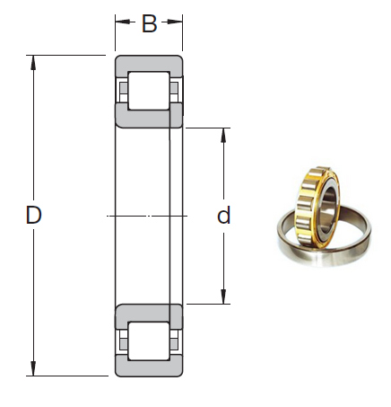 NUP 2211 ECJ Cylindrical Roller Bearings 55*100*25mm, NUP 2211 ECJ ...