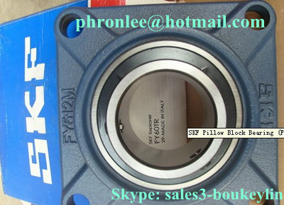 FY512M Pillow Block Bearings FY60TR, FY 60 TR (FY 512 M) bearing ...