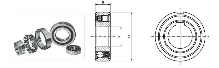 CSK25 One Way Bearing/CSK25 Freewheel Clutch, CSK25 bearing 25x52x15 ...
